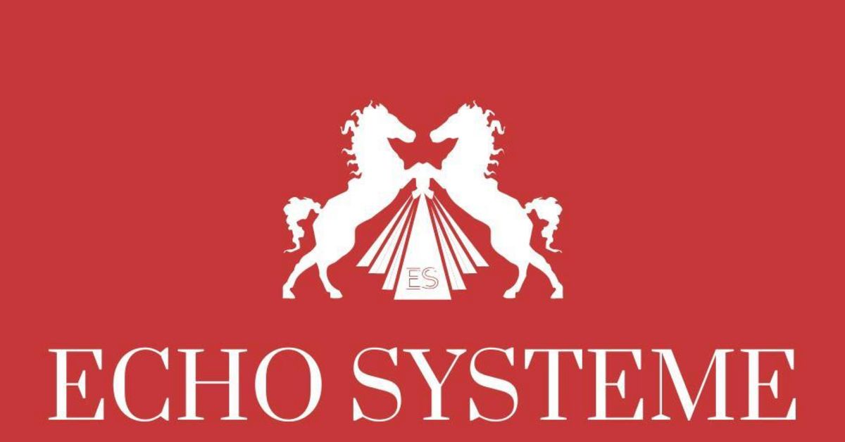 Echo Systeme Agency, retail excellence etiquette | CCI France Japon